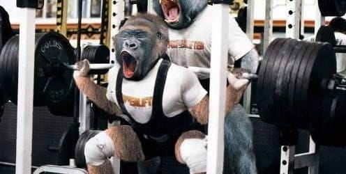 Austin Gorilla Run: Gorillas Gathering at CFA!! - CrossFit Austin ...